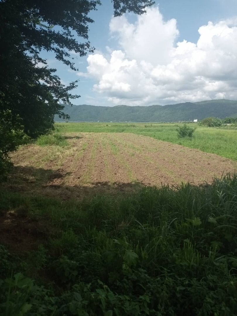 FOR SALE! 60,485sqm / 6 Hectares Farm Lot at Brgy Wawa, Lumban Laguna ...
