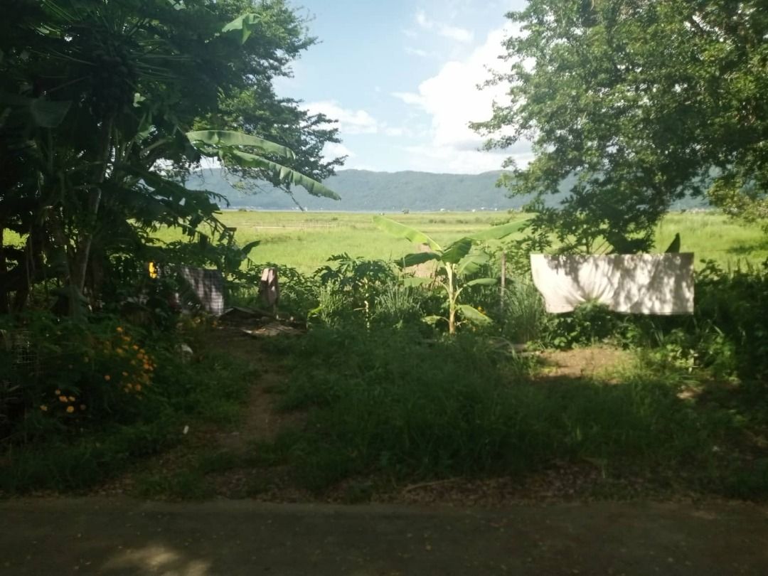 FOR SALE! 60,485sqm / 6 Hectares Farm Lot at Brgy Wawa, Lumban Laguna ...