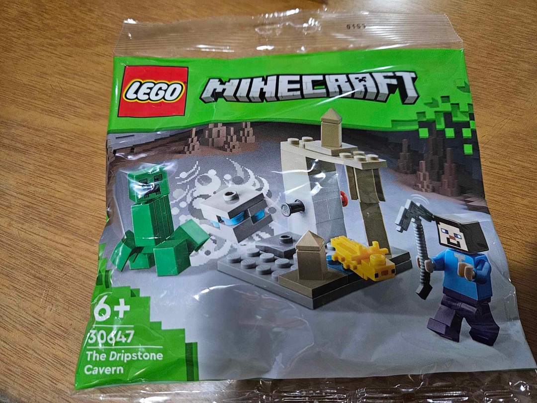 Lego Minecraft The Dripstone Cavern (30647), Hobbies & Toys, Toys ...