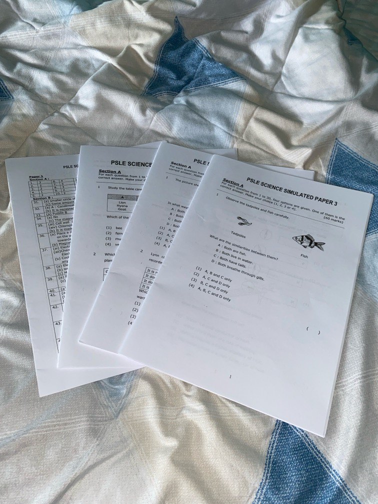 PSLE Science Simulated Papers, Hobbies & Toys, Books & Magazines ...