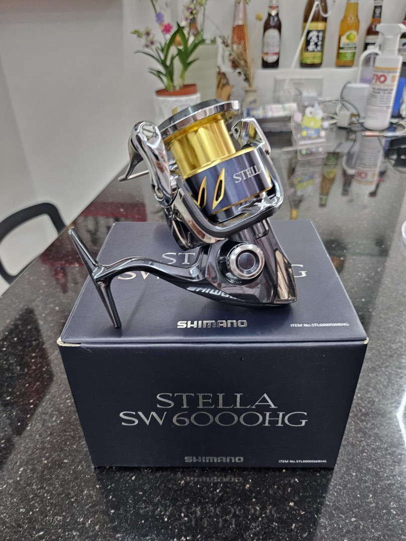 Shimano Stella SW6000HG 2013 model, Sports Equipment, Fishing on Carousell