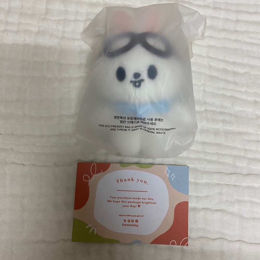 SKZOO Leebit 10cm plushie w/ pob, Hobbies & Toys, Memorabilia ...