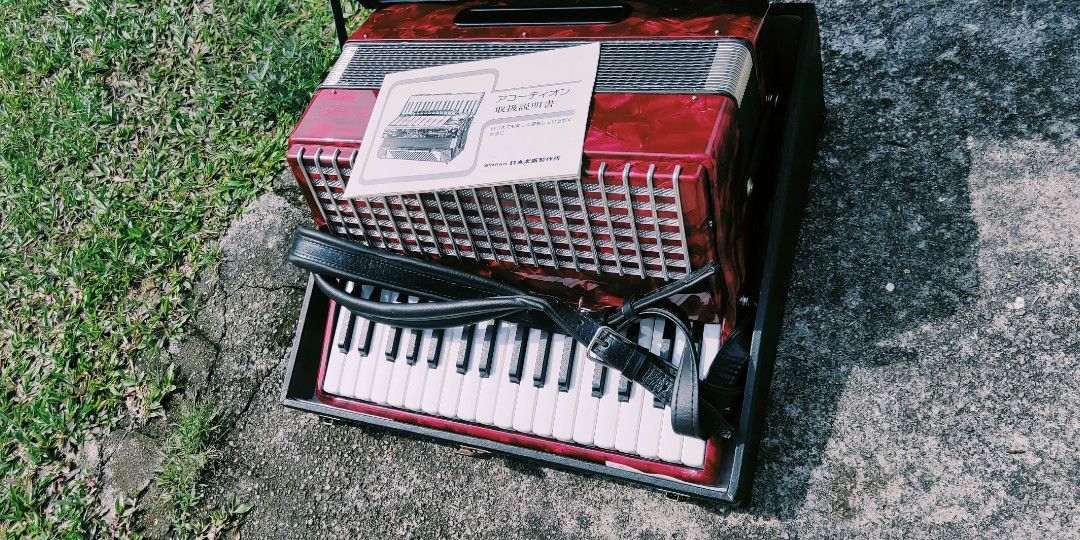 Suzuki soprano 34 keys Accordian / akordian, Hobbies & Toys, Music ...