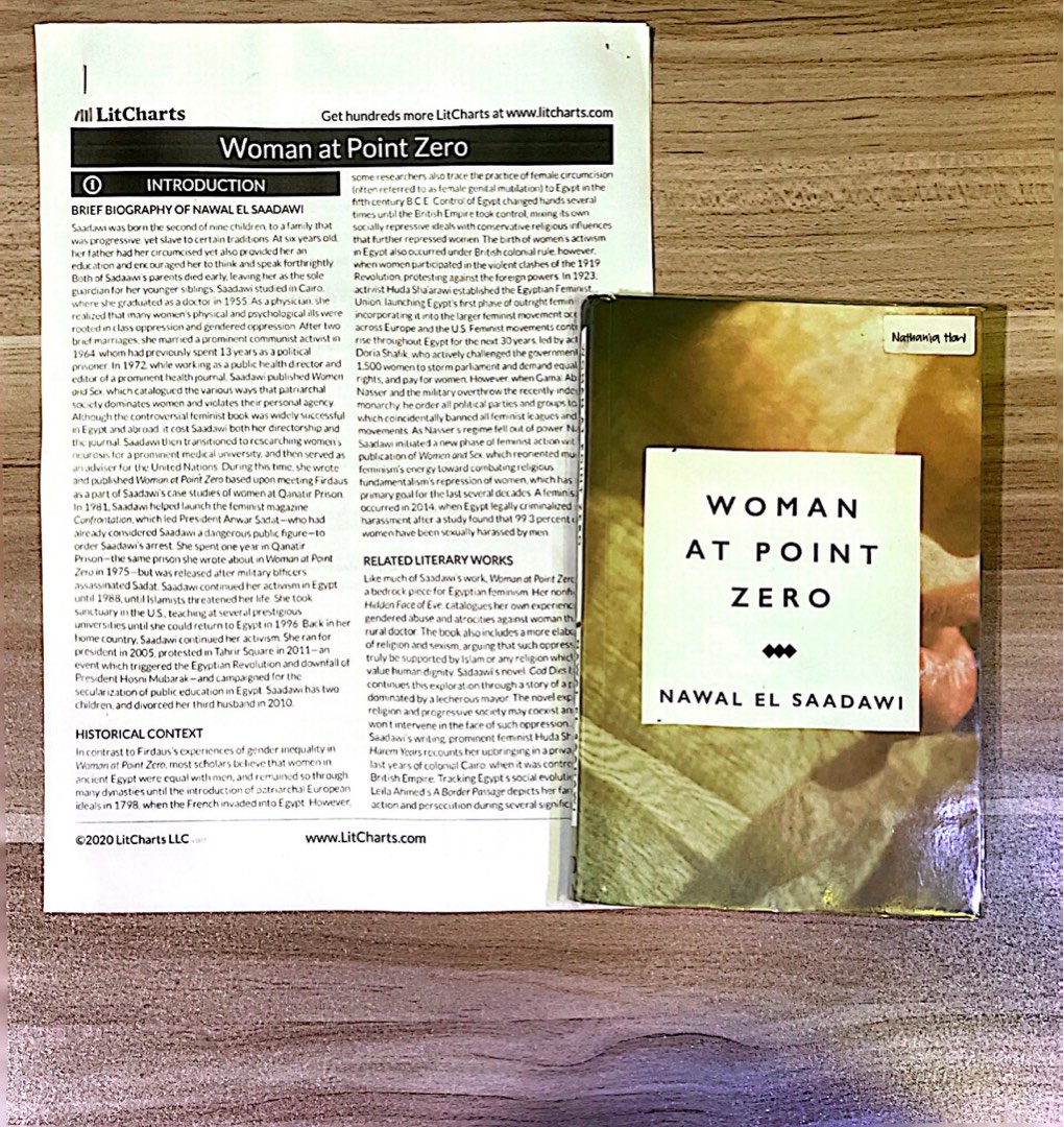 Woman at Point Zero / Litcharts notes, Hobbies & Toys, Books ...