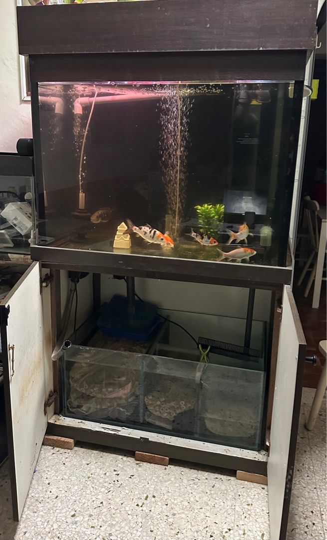 Big Fish tank full set with cabinet and cleaning system, Furniture ...