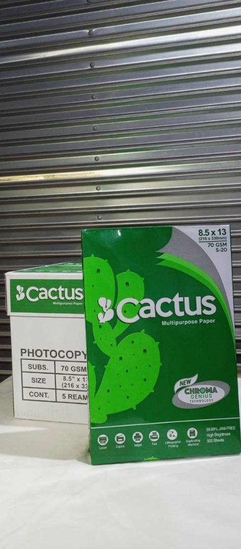 CACTUS BONDPAPER LONG SIZE, Hobbies & Toys, Stationary & Craft, Other ...