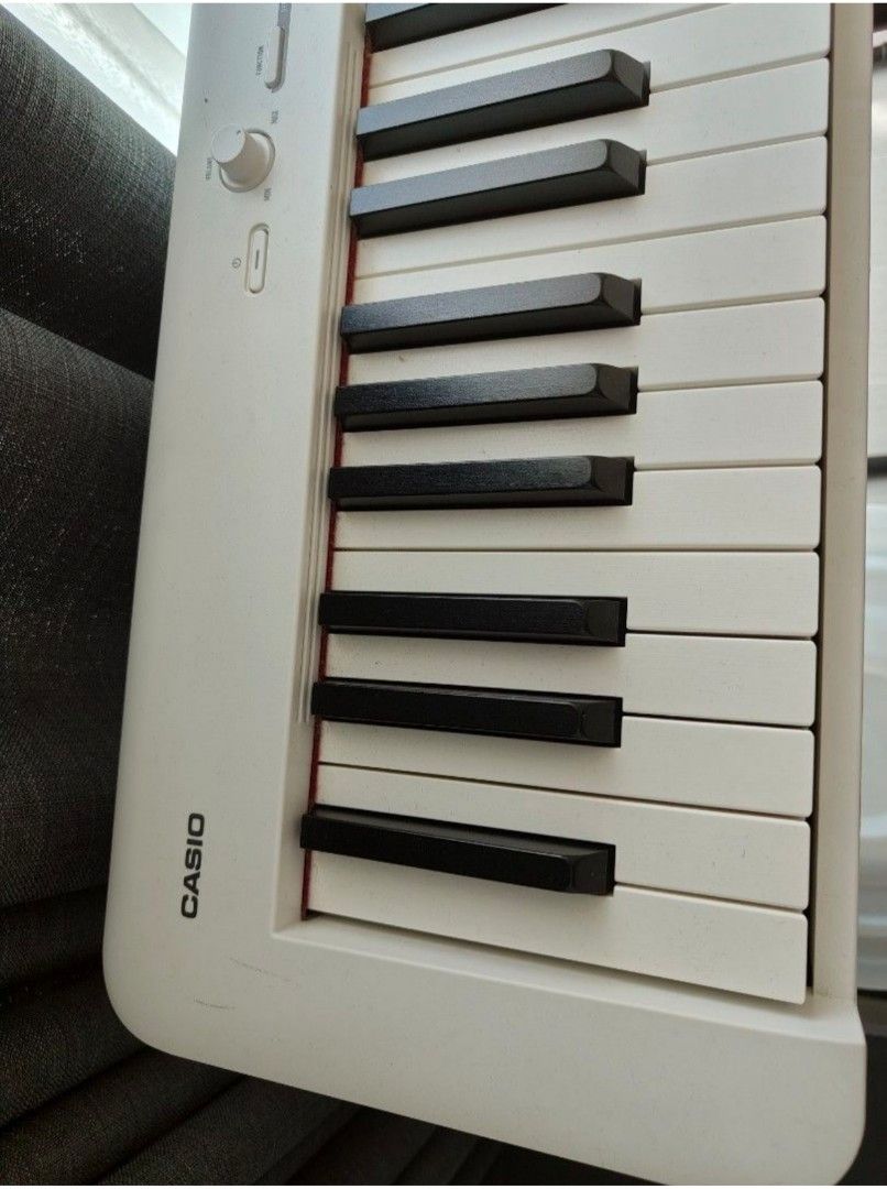 Casio CDP-S110 digital piano compact keyboard bench stand, Hobbies ...