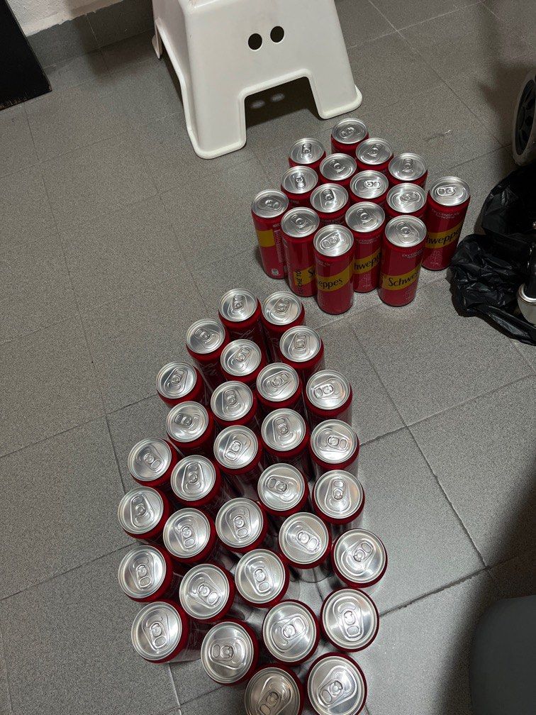 Coca Cola 30 cans + Ginger Ale 15cans, Food & Drinks, Beverages on ...