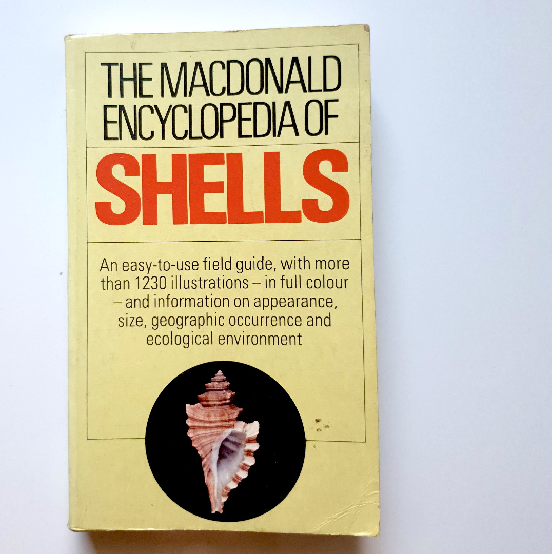 Encyclopedia of Shells (education nature book), Hobbies & Toys, Books ...