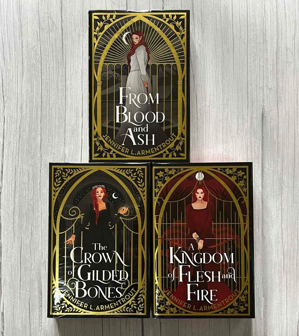 Fbaa book 1-3 Fairyloot, Hobbies & Toys, Books & Magazines, Fiction ...