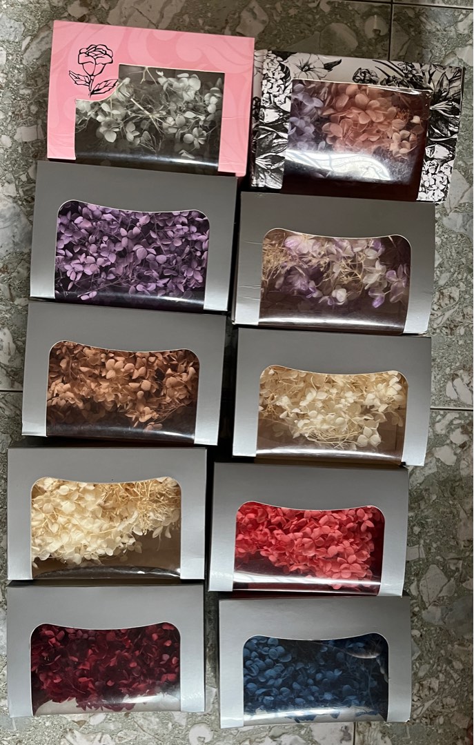 Preserved hydrangea, Hobbies & Toys, Stationery & Craft, Flowers ...