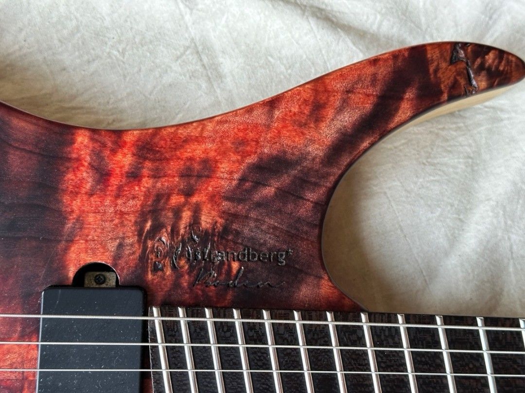Strandberg Sweden Custom 2016, Hobbies & Toys, Music & Media, Musical ...