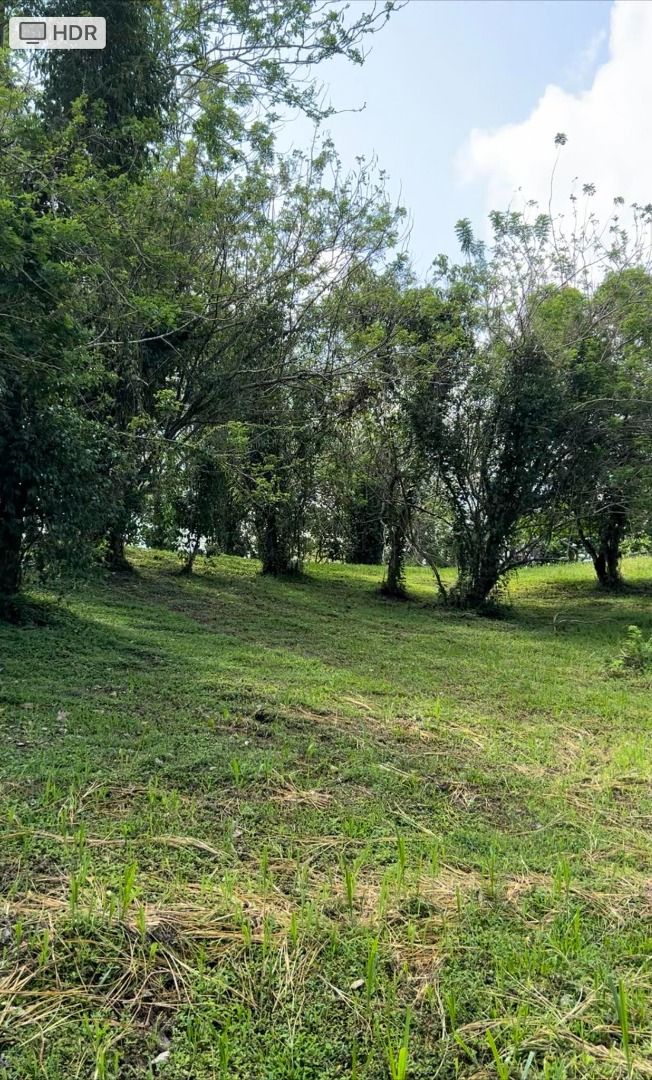 Farm Lot For Sale at Ponderosa Leisure Farms in Silang Cavite Rolling ...
