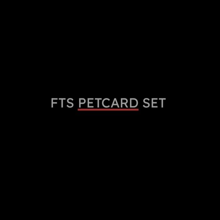 SEVENTEEN Face the Sun (FTS) Album Inclusion (petcard set), Hobbies ...