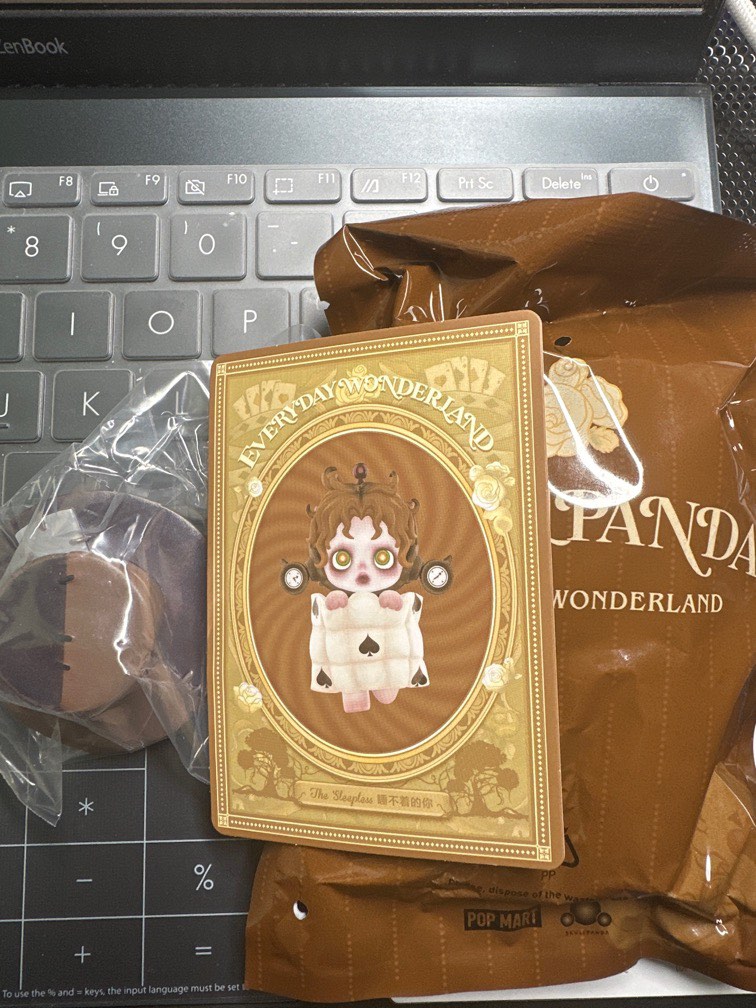 Skullpanda Everyday Wonderland: the sleepless, Hobbies & Toys, Toys ...