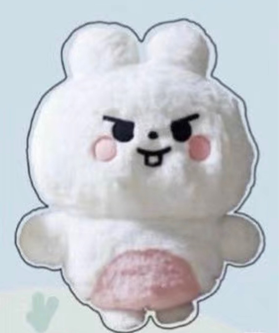 STRAYKIDS SKZ SHWEEP LEEKNOW LEEBIT PLUSH DOLL, Hobbies & Toys ...