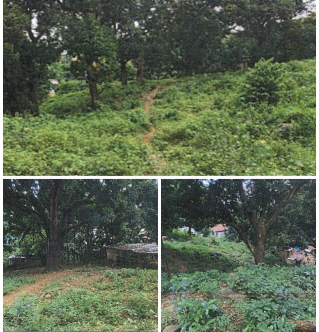 2 Hectare lot for sale in Taytay Rizal, Property, For Sale, Lot on ...