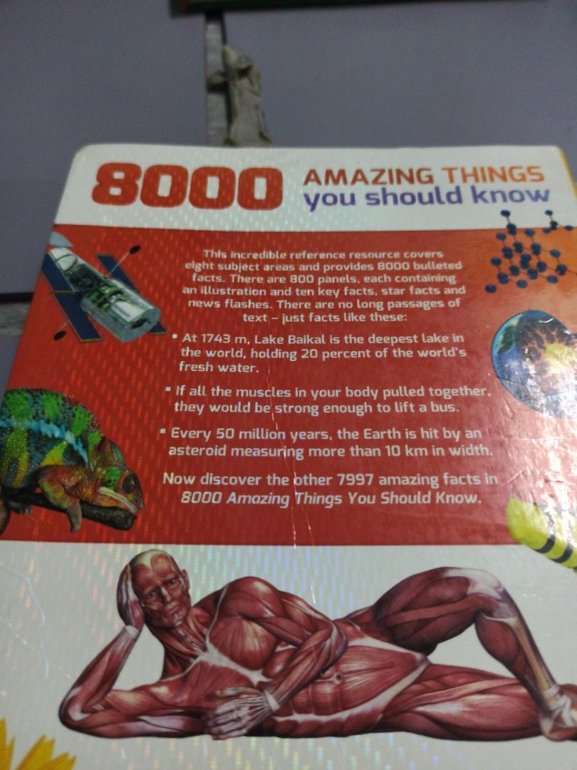 8000 amazing things you should know, Hobbies & Toys, Books & Magazines ...