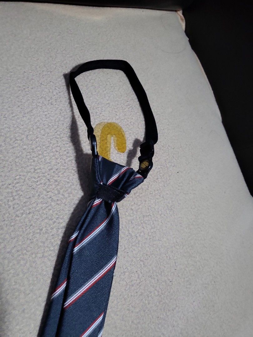 Automatic Neck Ties, Men's Fashion, Watches & Accessories, Ties on ...