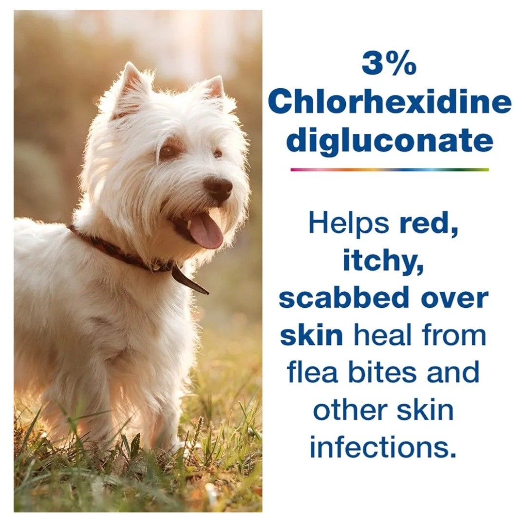 Douxo S3 PYO Medicated Shampoo for Dog and Cat (200ml / 500ml), Pet ...