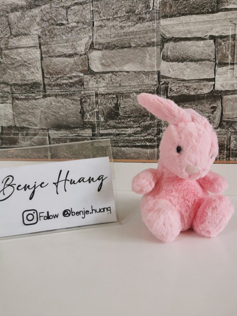 Jellycat Spring Poppet Bunny, Hobbies & Toys, Toys & Games on Carousell