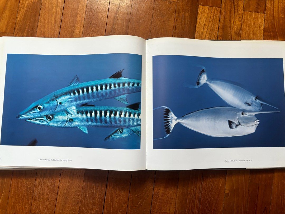 Ocean Soul Nat Geo Photobook by Brian Skerry, Hobbies & Toys, Books ...