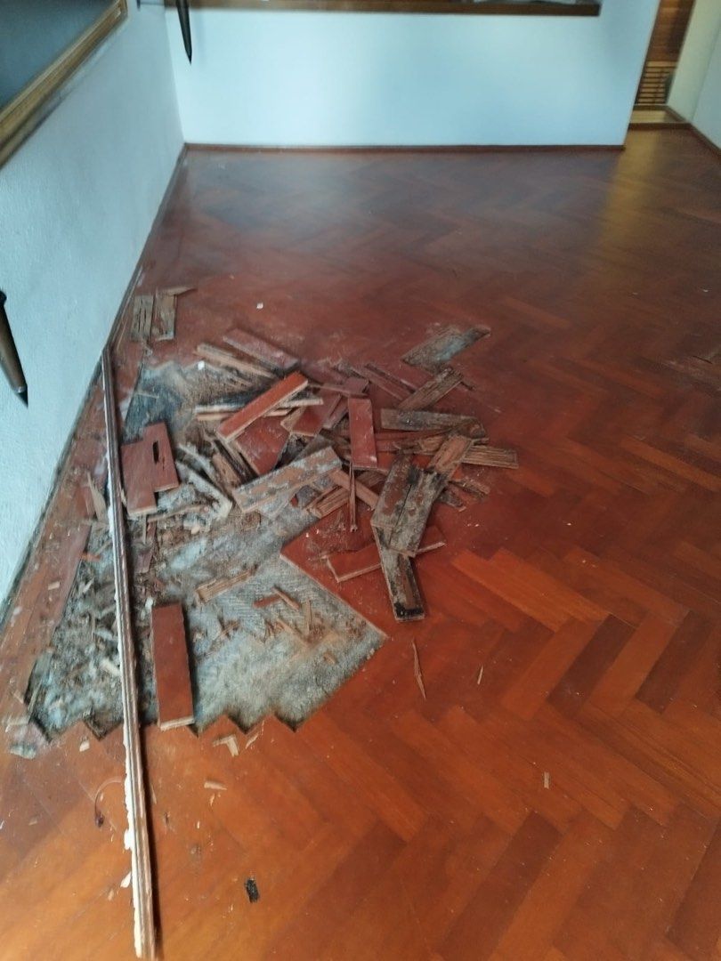 Parquet Floor Repair / Water Seepage / timber popup/ parquet water ...