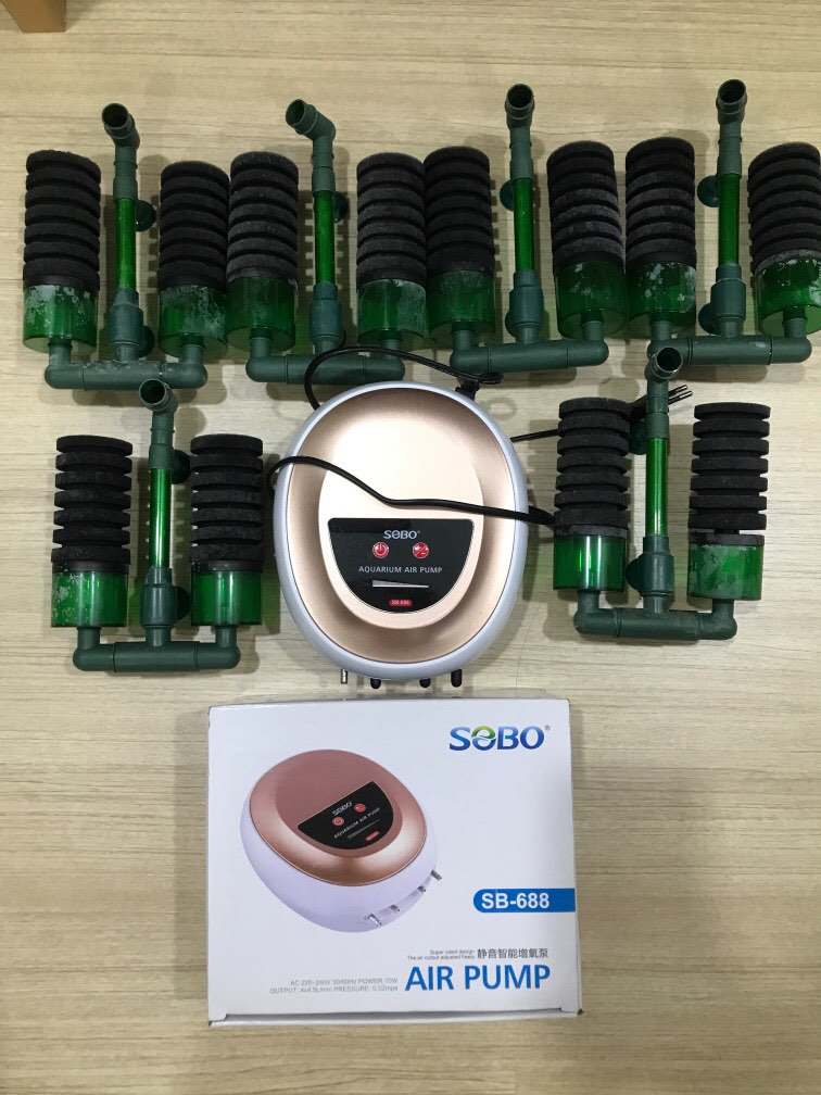 Sobo air pump and filter sponge with ceramic bio, Pet Supplies, Homes ...