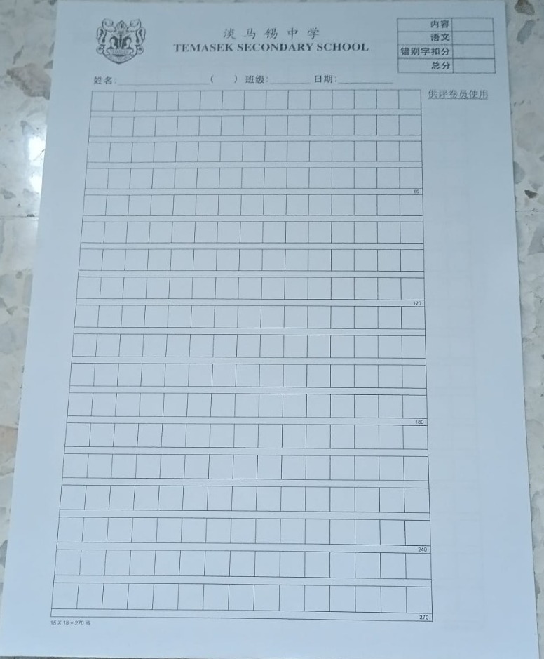 Temasek Secondary School Chinese Essay Foolscap Paper (11 pcs), Hobbies ...