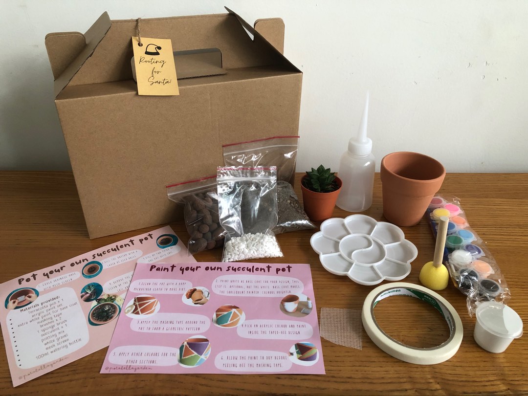 Terracotta Pot painting and potting kit, Hobbies & Toys, Stationery ...
