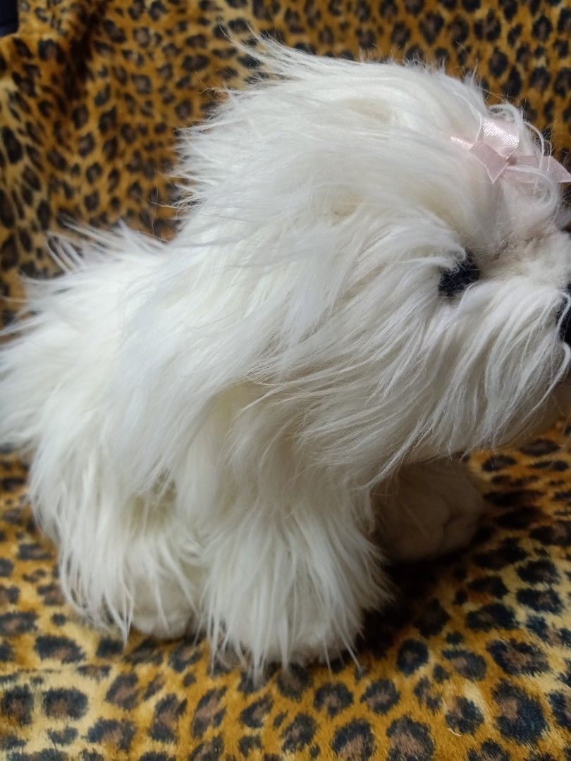VERY BEAUTIFUL REALISTIC WHITE SHIH TZU PLUSH TOY BY ELC, Hobbies ...