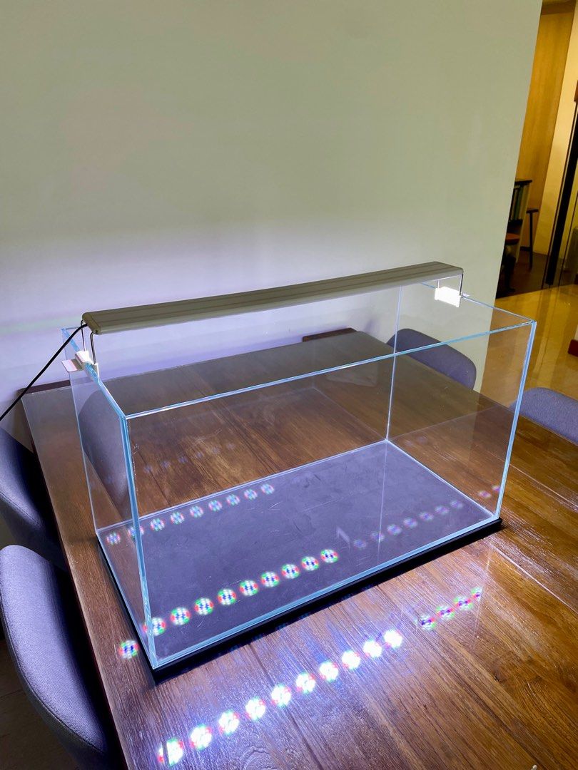 2ft Fish Tank Rimless Aquarium with Light, Pet Supplies, Homes & Other ...