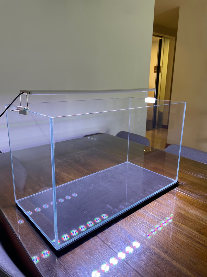 2ft Fish Tank Rimless Aquarium with Light, Pet Supplies, Homes & Other ...