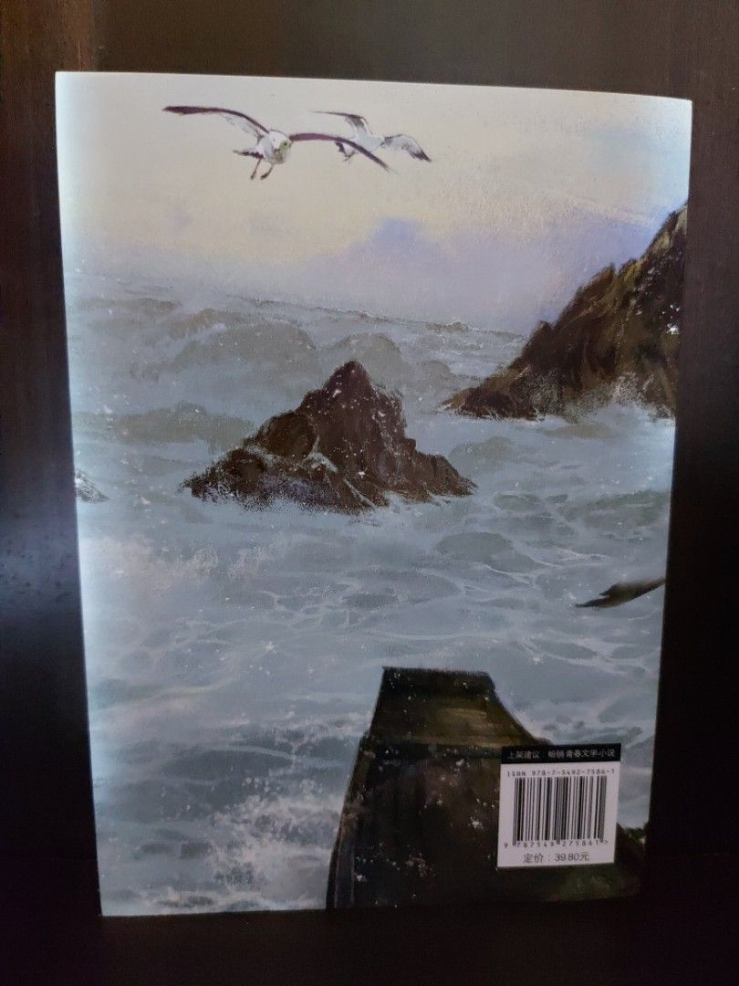 (Danmei) Nan Chan volume 1 with complete inclusions, Hobbies & Toys ...