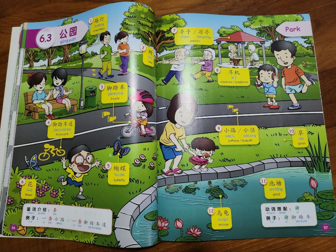 Fun Chinese Picture Dictionary, Hobbies & Toys, Books & Magazines ...