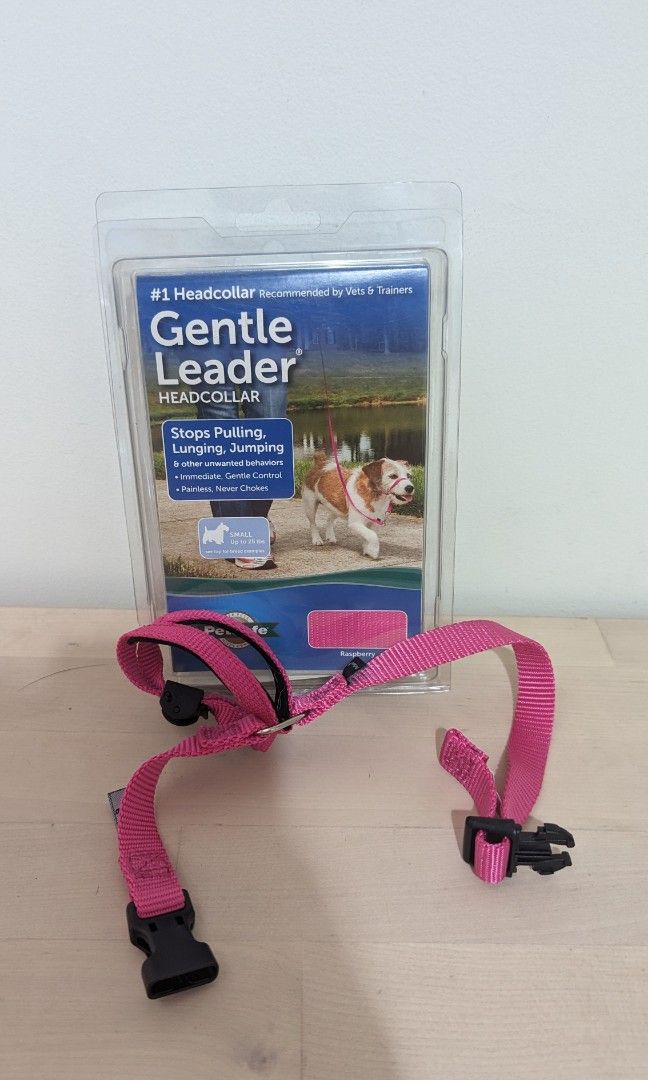 Gentle Lead Dog Head Harness, Pet Supplies, Homes & Other Pet ...