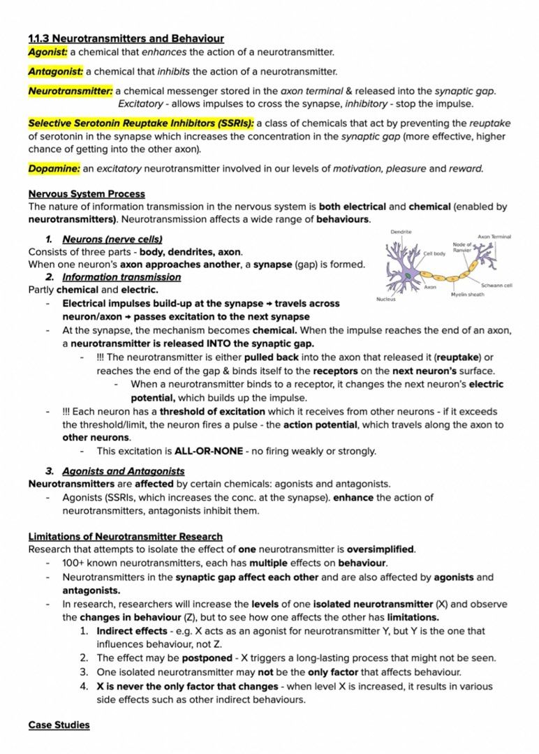 IB Psychology HL/SL - Paper 1 Notes, 興趣及遊戲, 書本 & 文具, 教科書 - Carousell