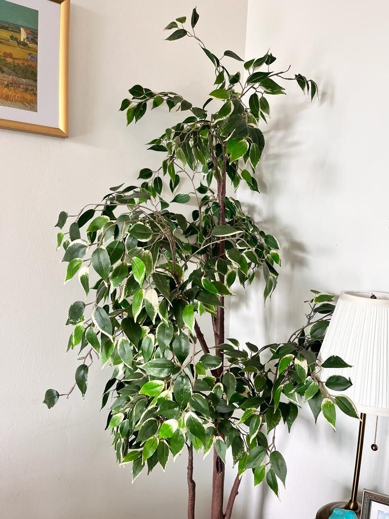Ikea Fejka tree, Furniture & Home Living, Home Decor, Artificial Plants ...