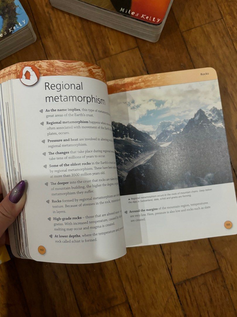 MINI ENCYCLOPEDIA: OCEANS, SPACE, BIRDS, ROCK & FOSSILS, Hobbies & Toys ...