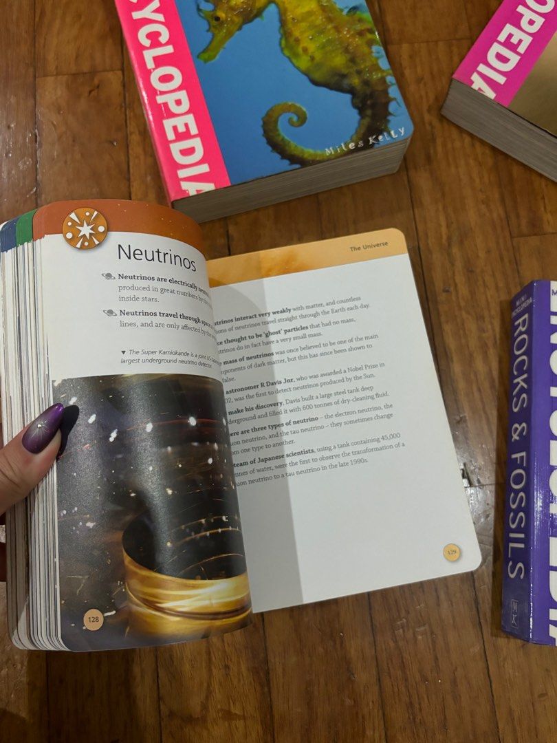 MINI ENCYCLOPEDIA: OCEANS, SPACE, BIRDS, ROCK & FOSSILS, Hobbies & Toys ...