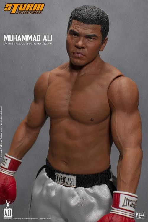 MUHAMMAD ALI Sixth Scale Figure by Storm Collectibles, Hobbies & Toys ...