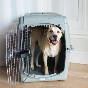 Airline Compliant Cargo for Pets Petmate Kennel dog cat animal parrots ...