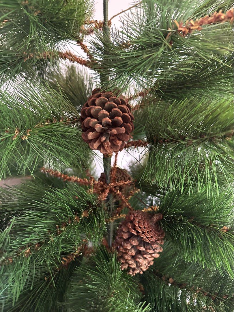 Quality Christmas tree 2m with real pine cones, Furniture & Home Living ...