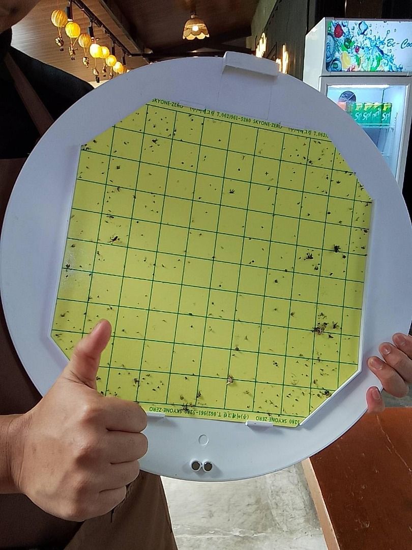 Sky Zero Round Fly Trap for Restaurants and Commercial Areas ...