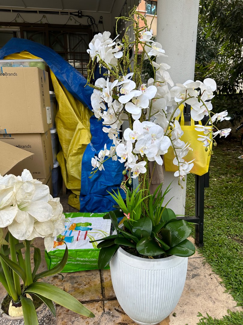 Ssf flowers, Furniture & Home Living, Home Decor, Artificial Plants & Flowers on Carousell