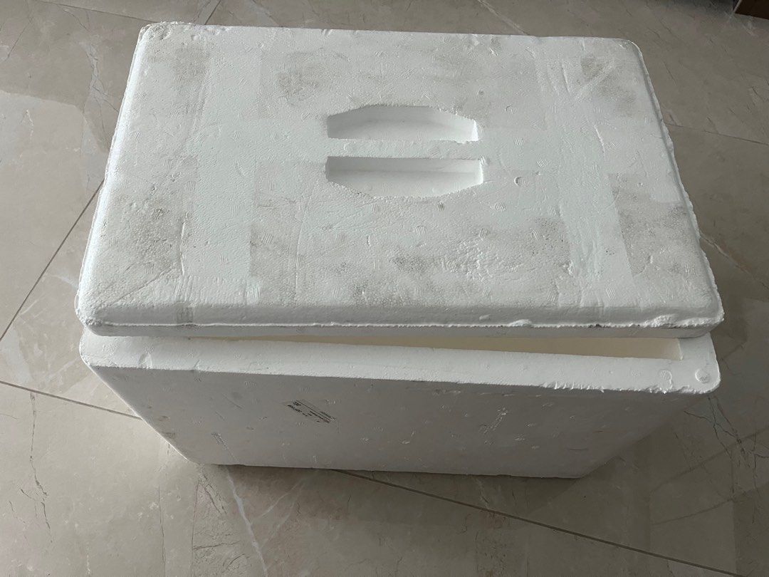 Styrofoam box, Hobbies & Toys, Stationery & Craft, Occasions & Party ...