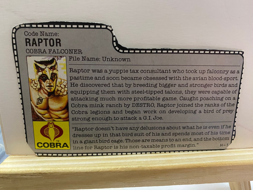Vintage Hasbro GI Joe ARAH 1987 Cobra Raptor File Card, Hobbies & Toys ...