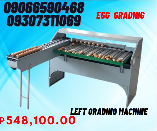 Automatic left Egg grading machine (4000pcs/h) carbon steel type ...