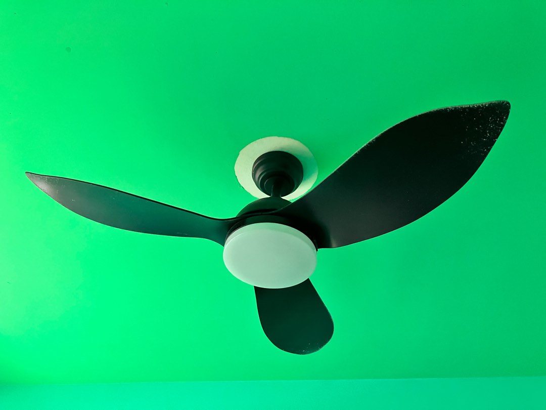 Bestar Raptor ceiling fan with light, Furniture & Home Living, Lighting ...