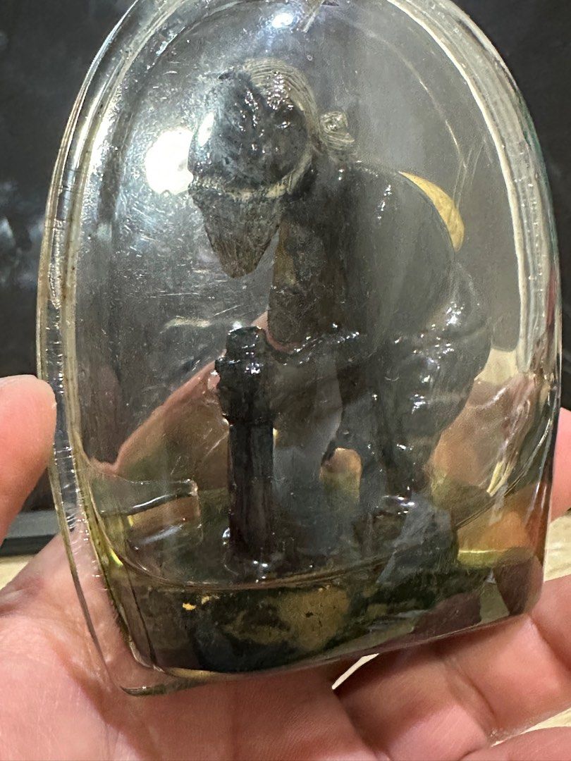 Chuchok from LP Somphong, Hobbies & Toys, Memorabilia & Collectibles ...